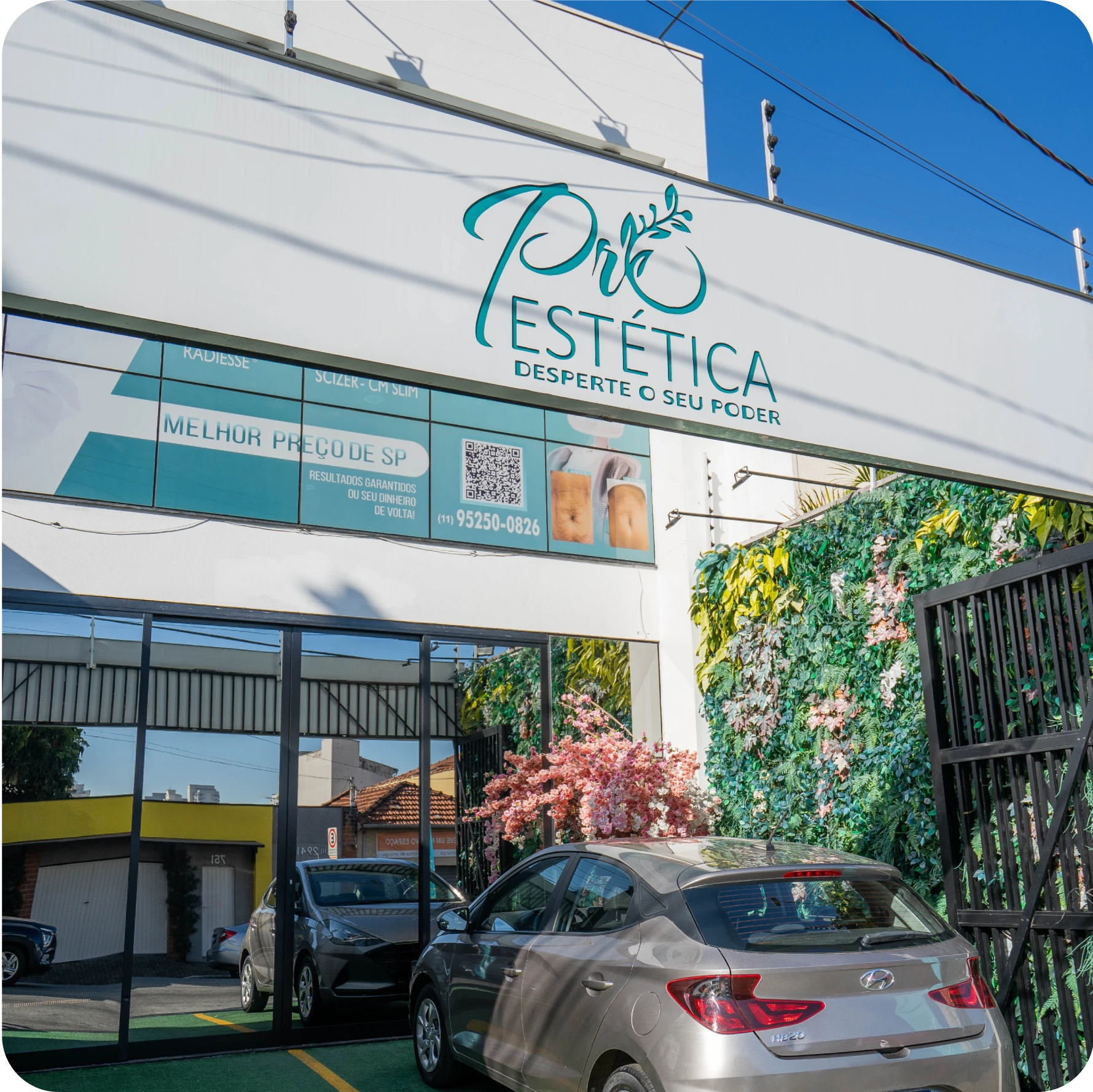 Celulite - Pró Estética